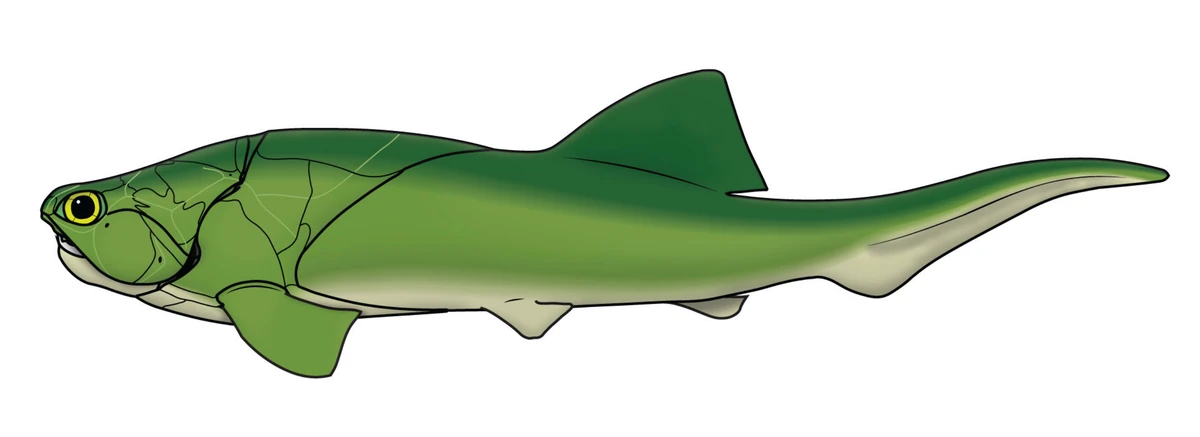 Coccosteus | Prehistoric Wiki | Fandom