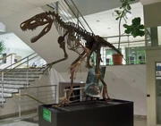 Smok | Prehistoric Wiki | Fandom