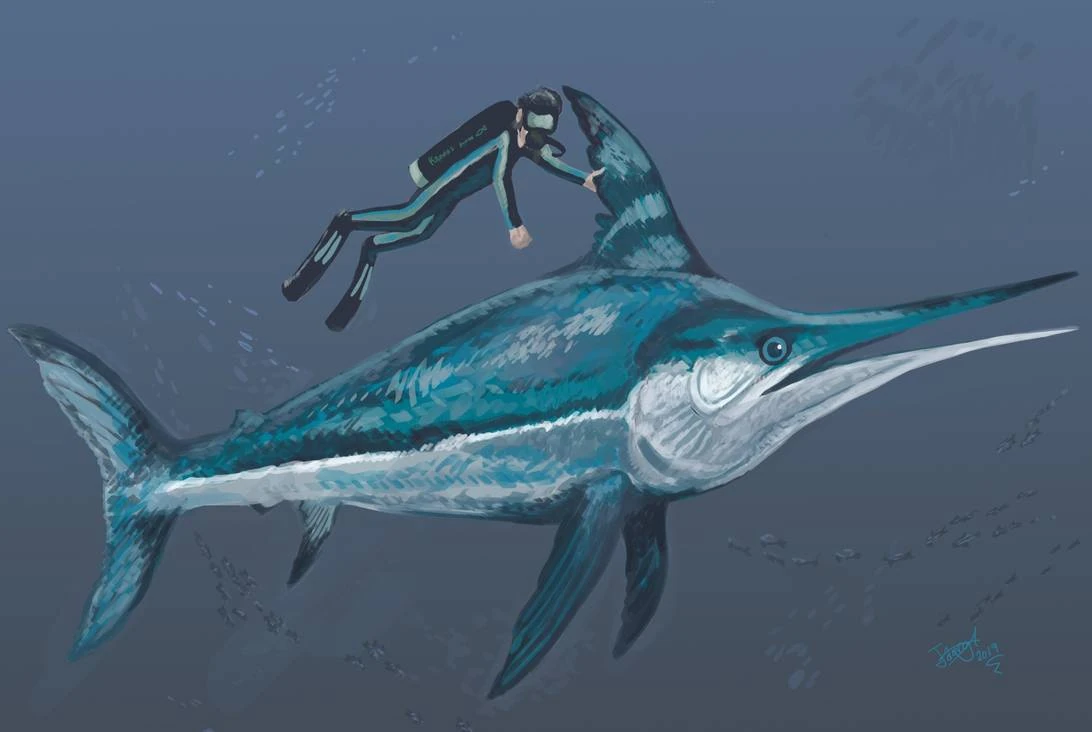 Xiphiorhynchus | Prehistoric Wiki | Fandom