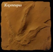 Kayentapus | Prehistoric Wiki | Fandom
