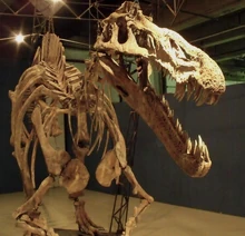 Suchomimus | Prehistoric Wiki | Fandom