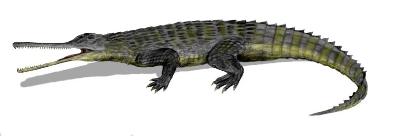 Rutiodon | Prehistoric Wiki | Fandom
