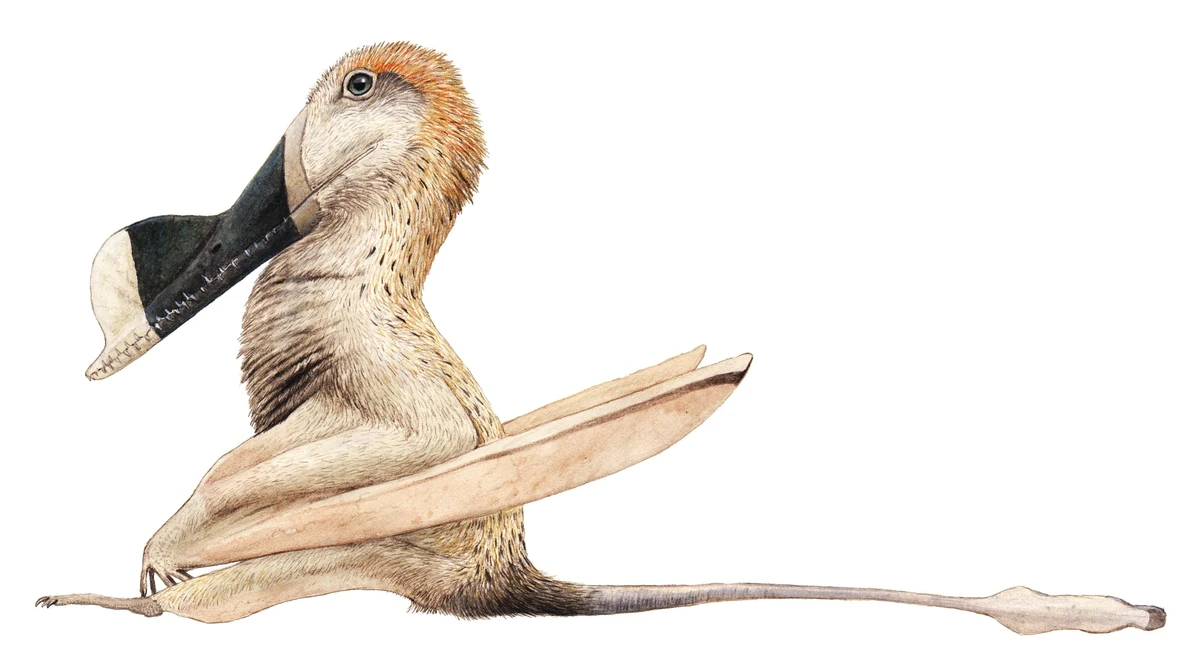 Ian | Prehistoric Wiki | Fandom