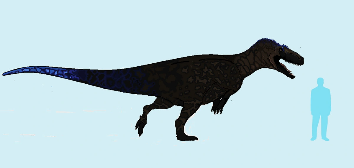 Category:Megalosauroids | Prehistoric Wiki | Fandom