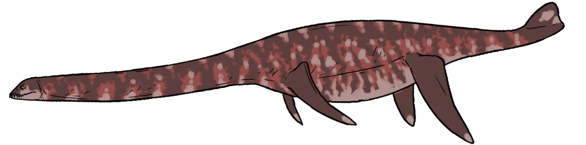 Abyssosaurus | Prehistoric Wiki | Fandom