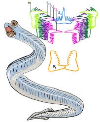 Category:Conodonts | Prehistoric Wiki | Fandom