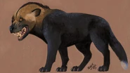 Aenocyon | Prehistoric Wiki | Fandom