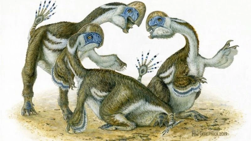 Oksoko | Prehistoric Wiki | Fandom