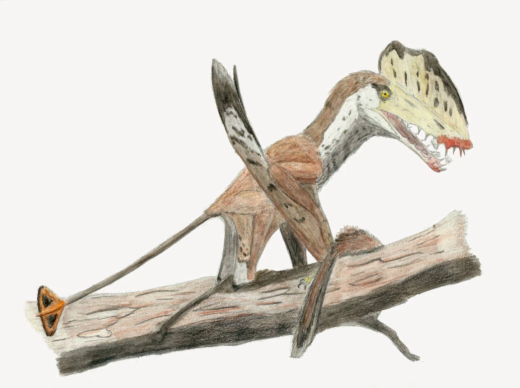 Harpactognathus | Prehistoric Wiki | Fandom