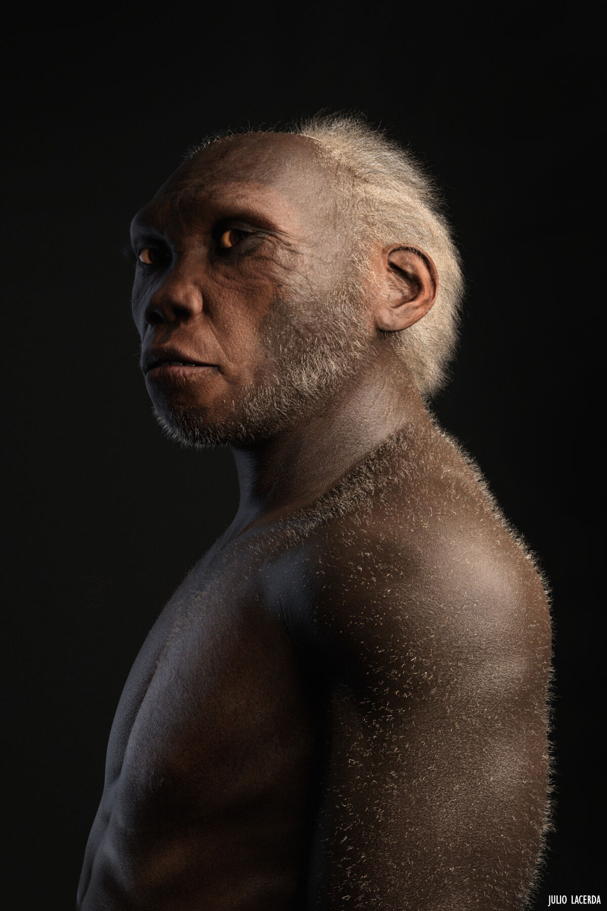 Homo Habilis