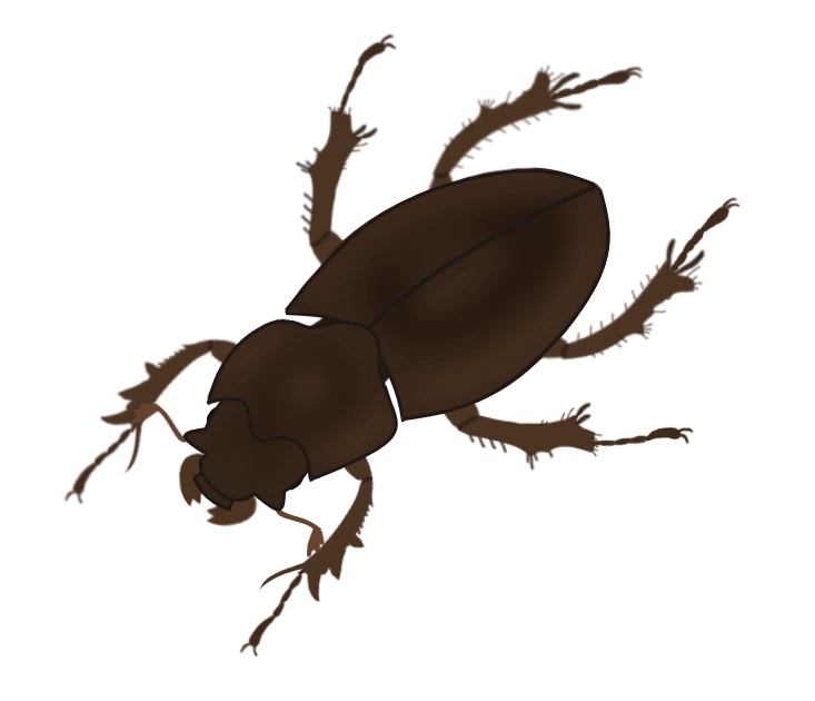 Tyrannasorus | Prehistoric Wiki | Fandom