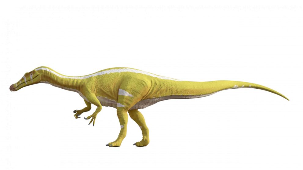 Protathlitis Prehistoric Wiki Fandom