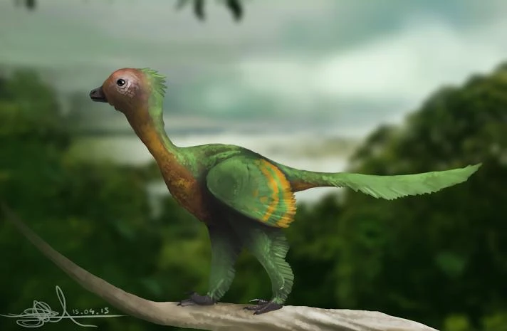 Palaeopteryx | Prehistoric Wiki | Fandom