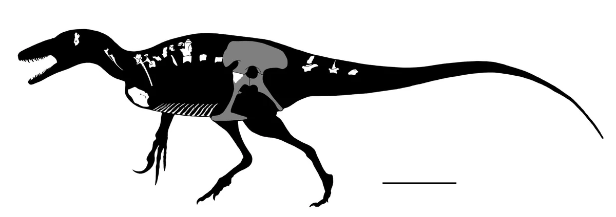 Maip | Prehistoric Wiki | Fandom