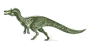 Iberospinus | Prehistoric Wiki | Fandom