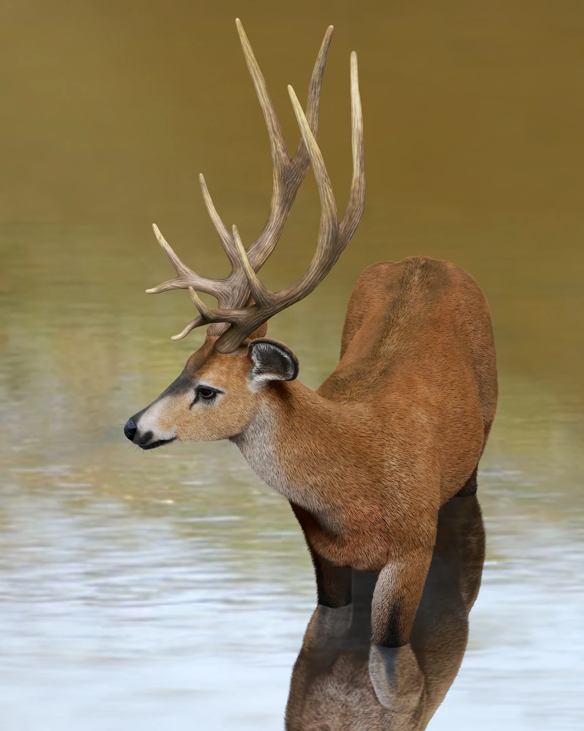 Antifer | Prehistoric Wiki | Fandom