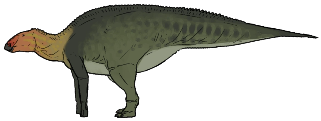 Kamuysaurus | Prehistoric Wiki | Fandom