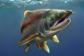 Sabertooth Salmon Prehistoric Wiki Fandom