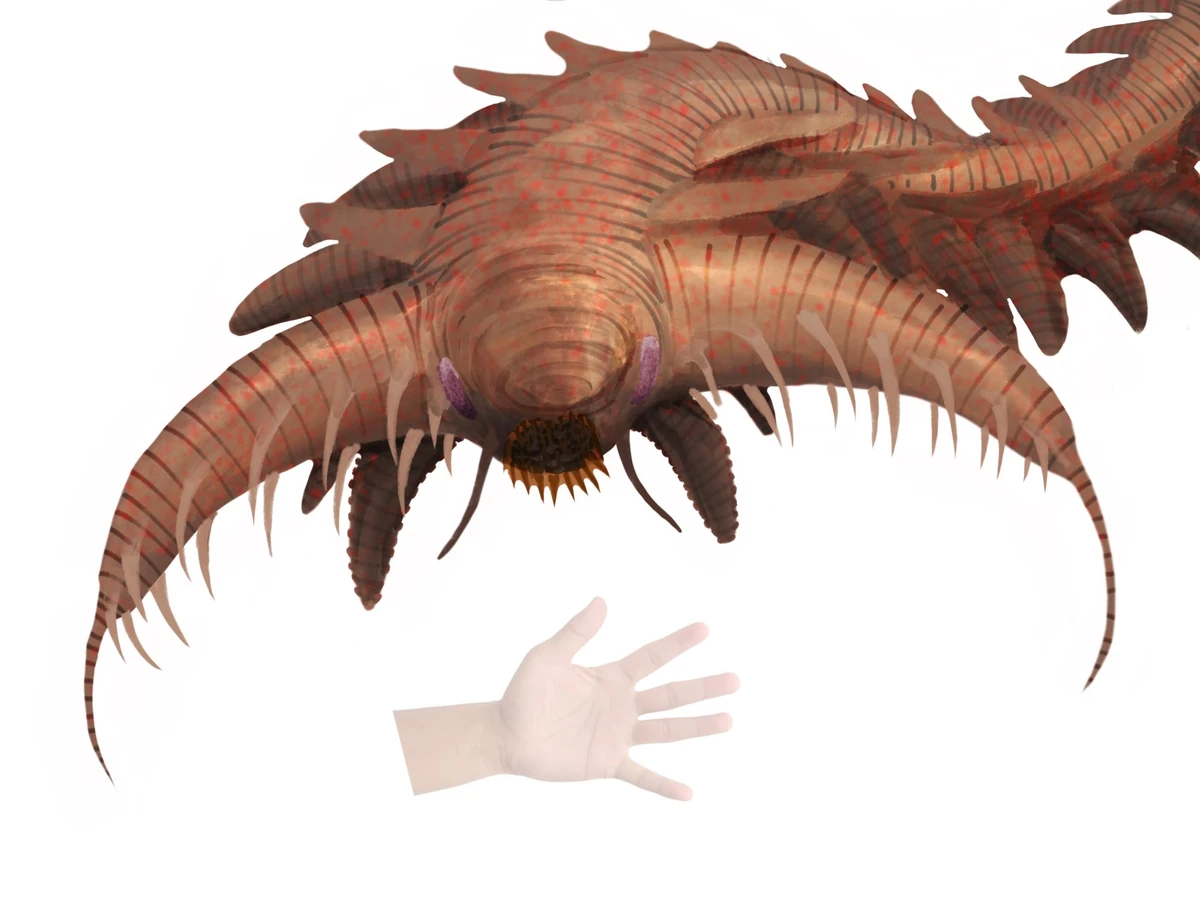 Omnidens | Prehistoric Wiki | Fandom