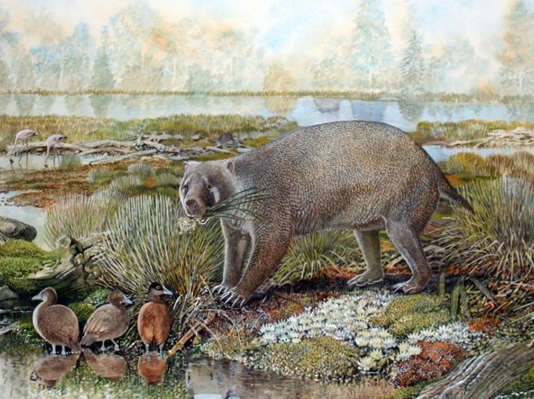 Category:Wombats | Prehistoric Wiki | Fandom