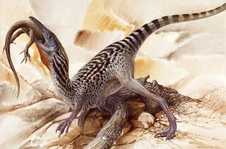 Compsognathus | Prehistoric Wiki | Fandom