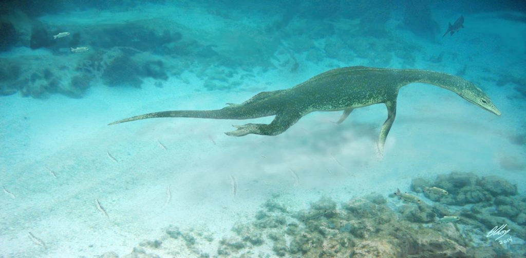 Lariosaurus | Prehistoric Wiki | Fandom