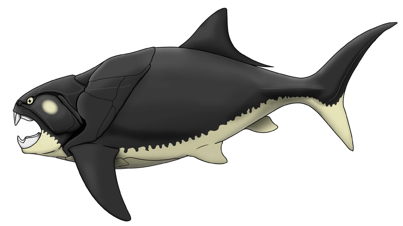 Dunkleosteus | Prehistoric Wiki | Fandom