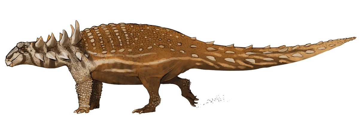 Nodosaurus | Prehistoric Wiki | Fandom