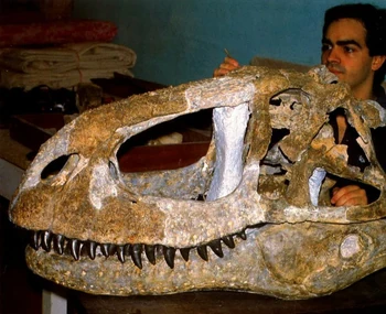 Titanovenator | Prehistoric Wiki | Fandom