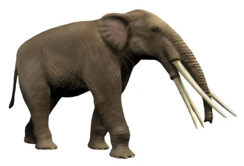Stegotetrabelodon | Prehistoric Wiki | Fandom
