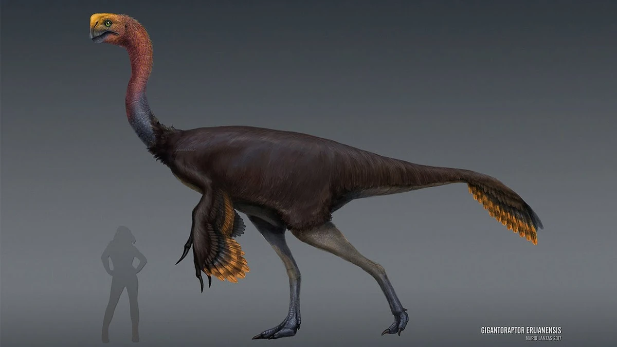 Gigantoraptor | Prehistoric Wiki | Fandom