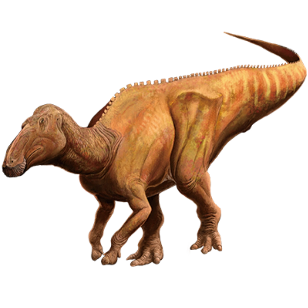 Edmontosaurus | Prehistoric Wiki | Fandom