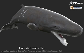 Livyatan | Prehistoric Wiki | Fandom