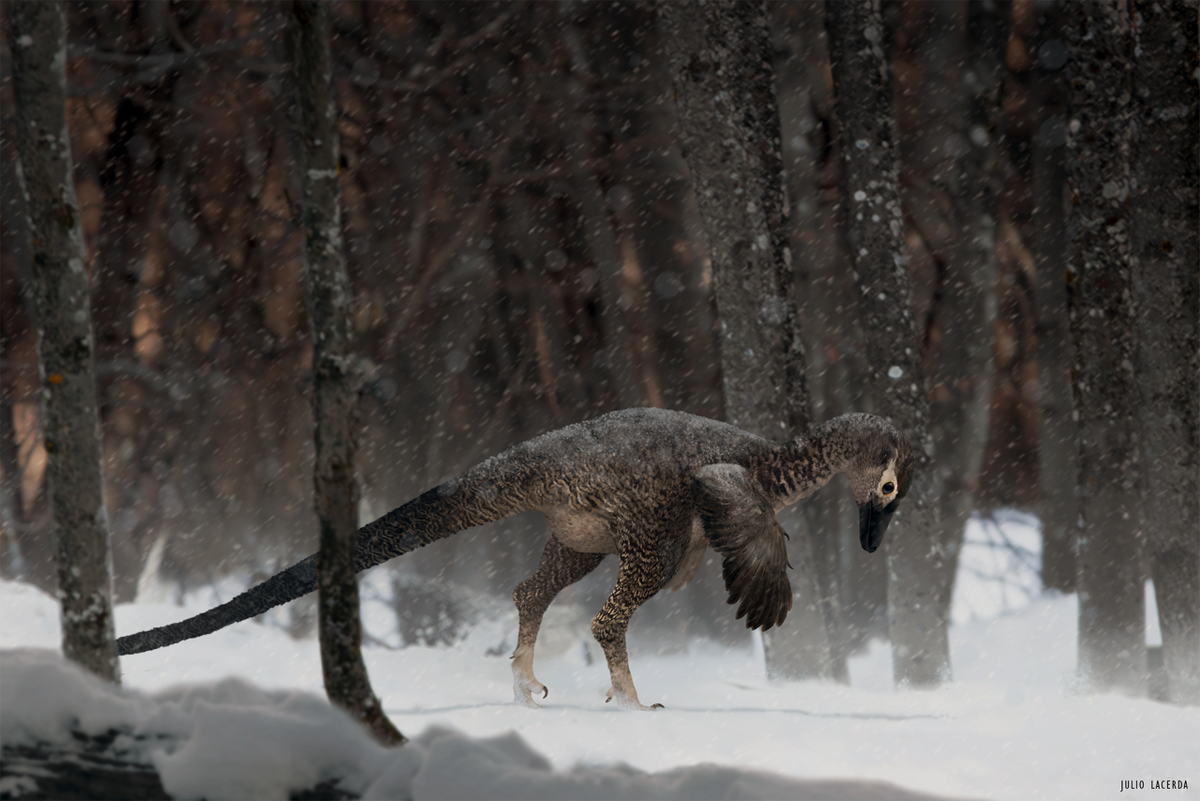Alaskan Troodontid Prehistoric Wiki Fandom