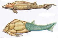 Ostracoderm | Prehistoric World And Monsters Wiki | Fandom