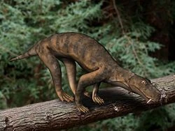 Arctops | Prehistoric World And Monsters Wiki | Fandom