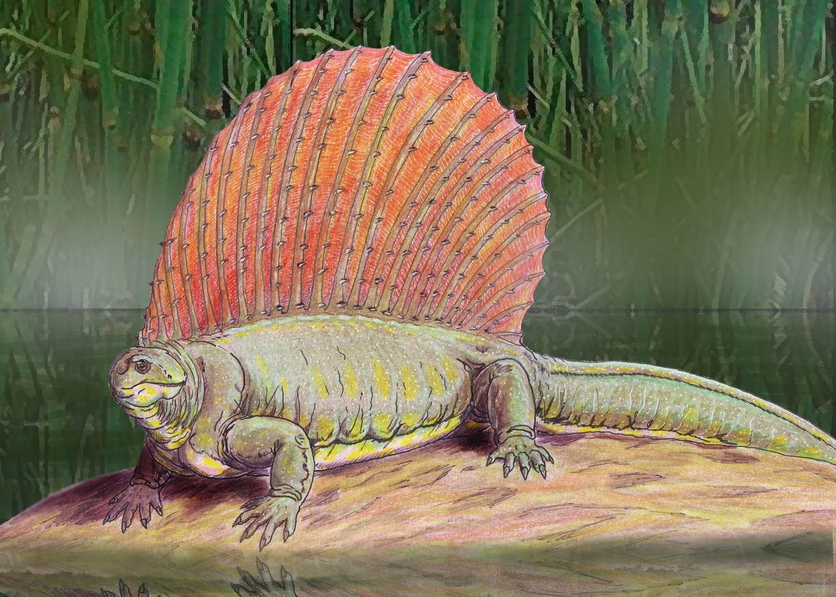 Edaphosaurus | Prehistoric World And Monsters Wiki | Fandom