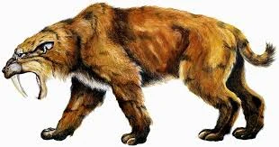 Smilodon | Prehistoric World And Monsters Wiki | Fandom