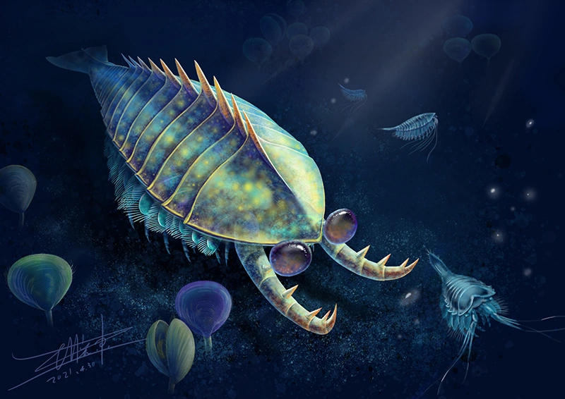 Fengzhengia | Prehistoric Wiki | Fandom