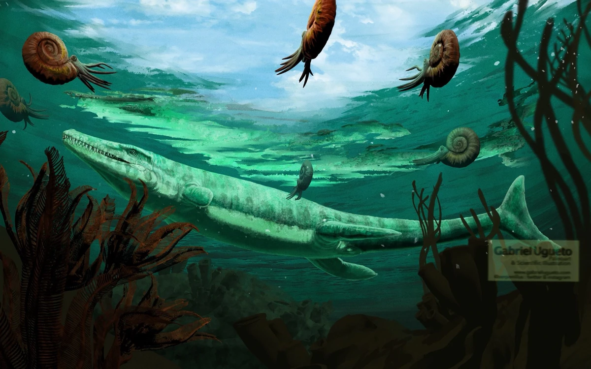 Plesiosuchus | Prehistoric Wiki | Fandom