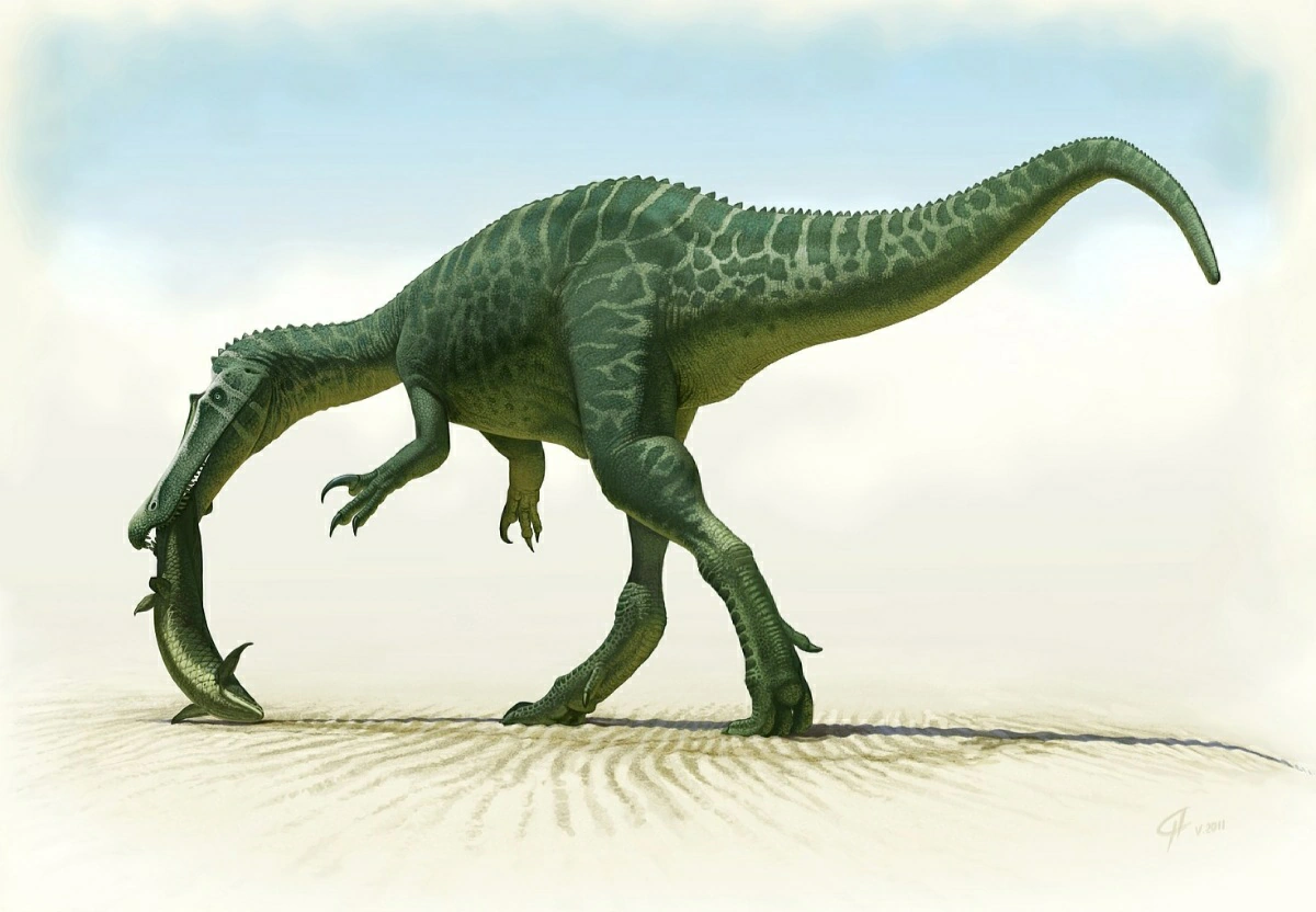 Baryonyx | Prehistoric Wiki | Fandom
