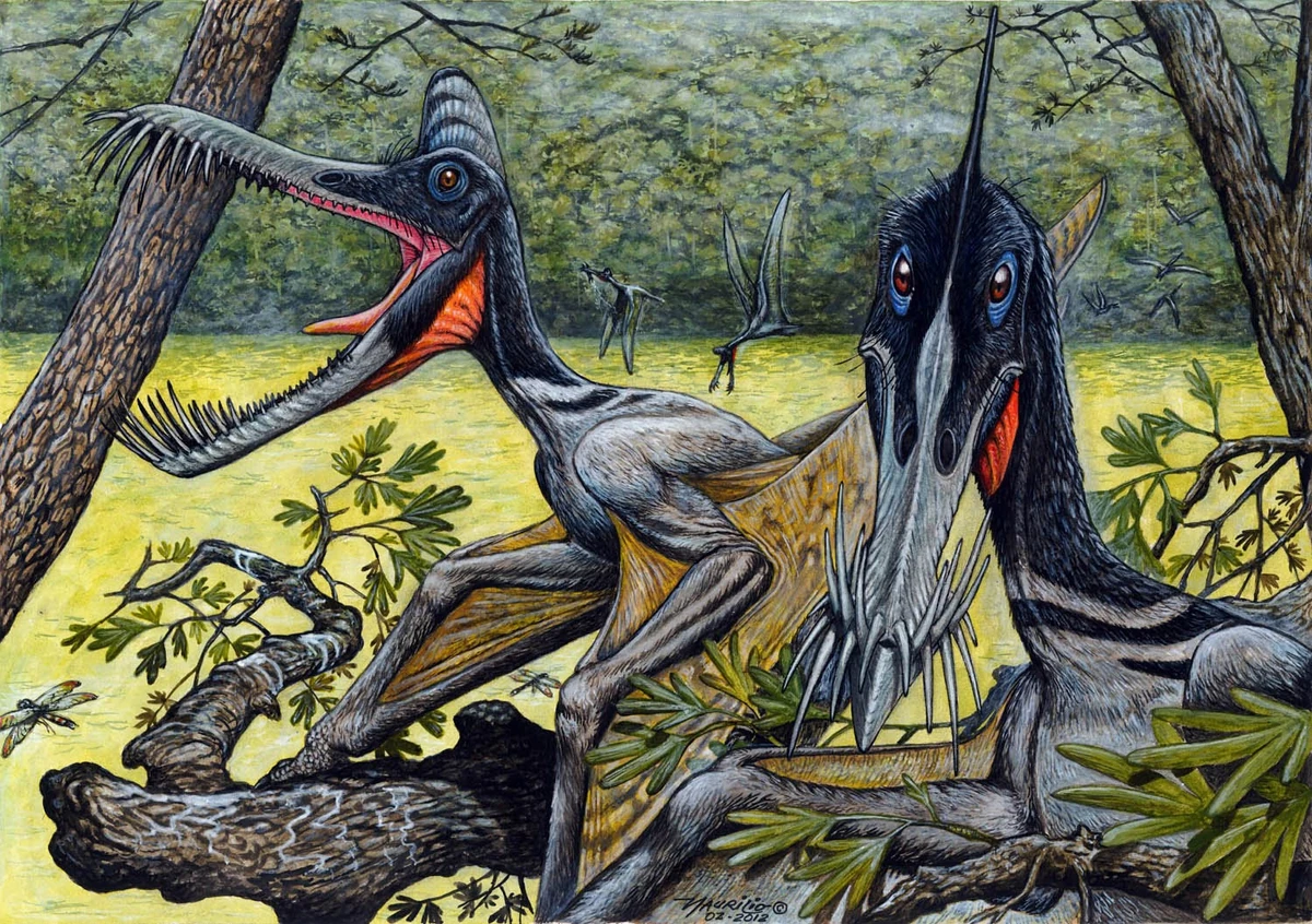 Guidraco | Prehistoric Wiki | Fandom