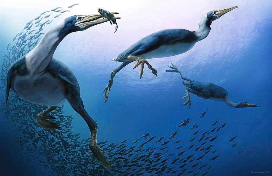 Hesperornis | Prehistoric Wiki | Fandom