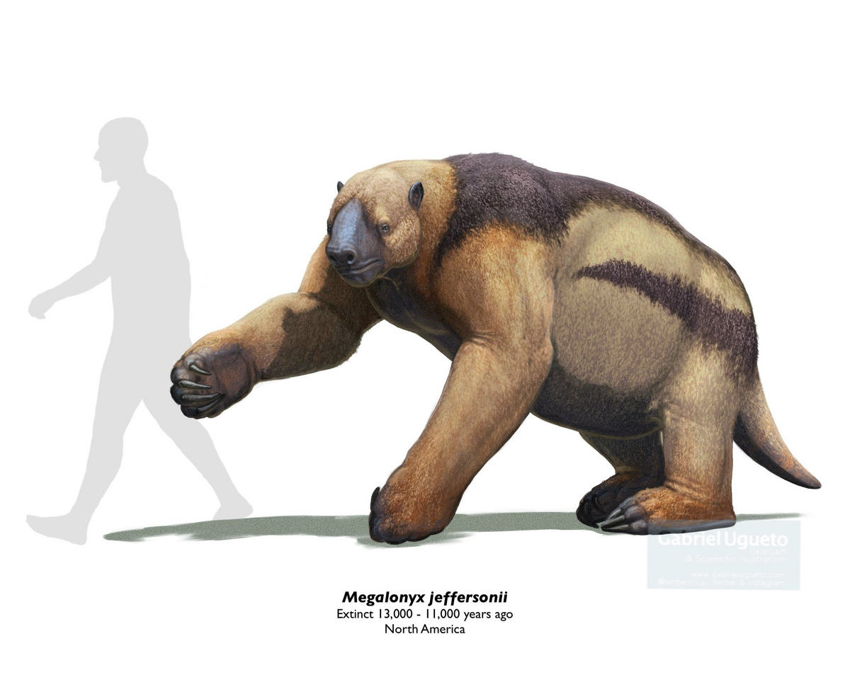 Megalonyx Prehistoric Wiki Fandom