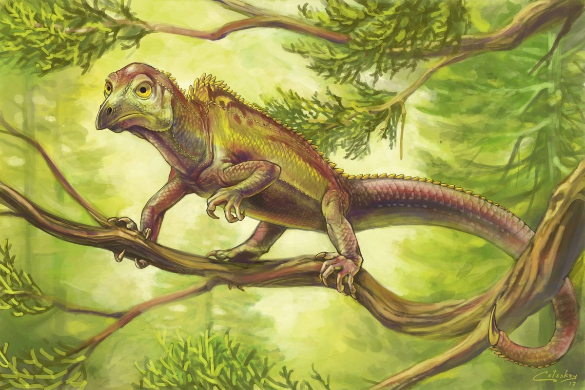 Avicranium | Prehistoric Wiki | Fandom
