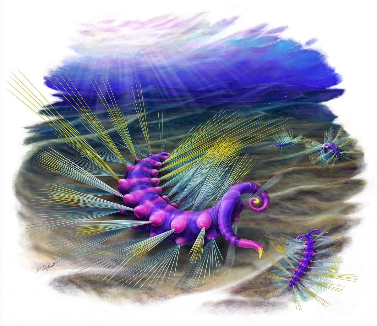Ursactis | Prehistoric Wiki | Fandom
