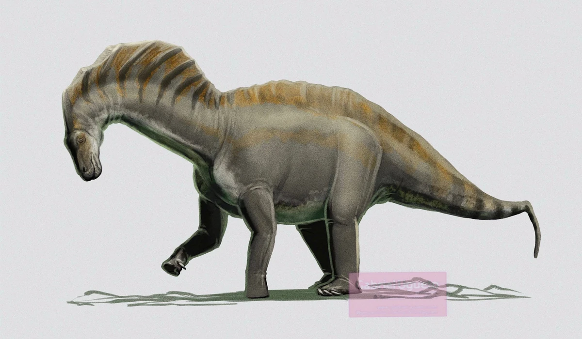 Amargasaurus | Prehistoric Wiki | Fandom