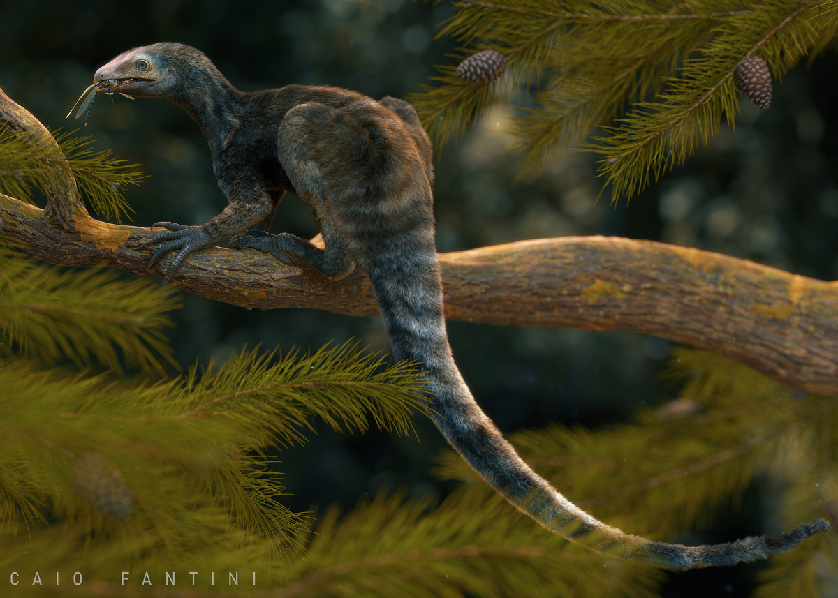 Venetoraptor Prehistoric Wiki Fandom
