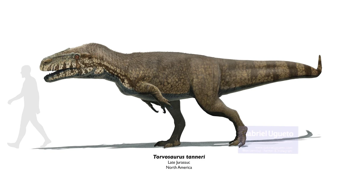 Torvosaurus | Prehistoric Wiki | Fandom