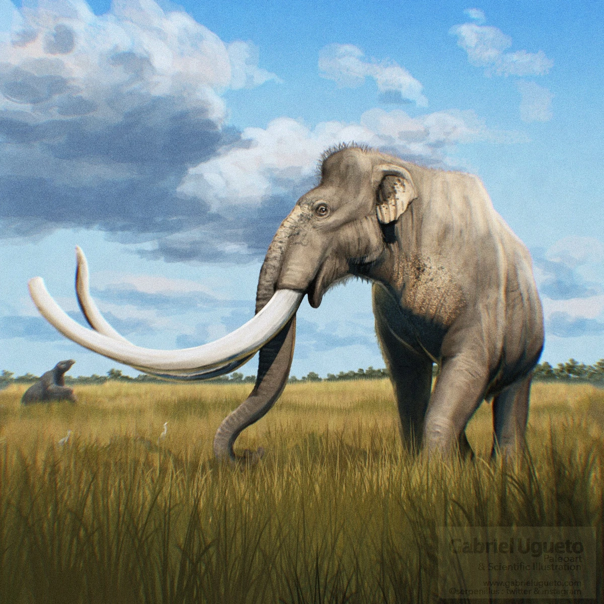 Columbian mammoth | Prehistoric Wiki | Fandom